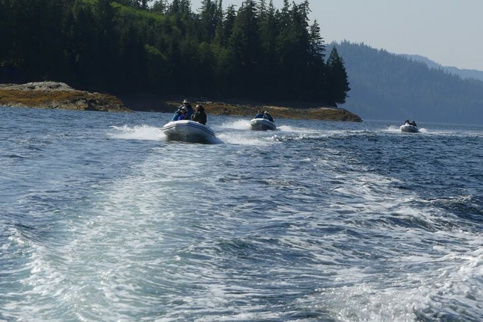 Ketchikan: Scenic Drive & George Inlet Fjords Zodiac Cruise - Final Thoughts