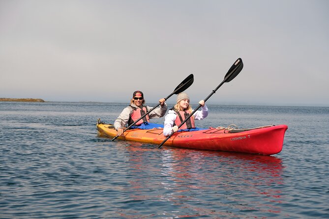 Ketchikan Shore Excursion: Eagle Island Sea Kayaking - The Balance of Value and Experience