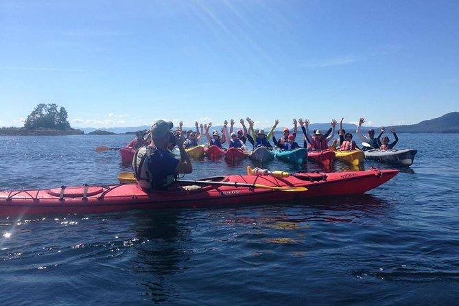 Ketchikan Shore Excursion: Eagle Island Sea Kayaking - Who Should Sign Up?