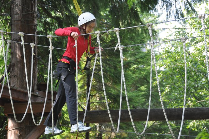 Ketchikan Shore Excursion: Rainforest Canopy Ropes and Zipline Adventure Park - Key Points