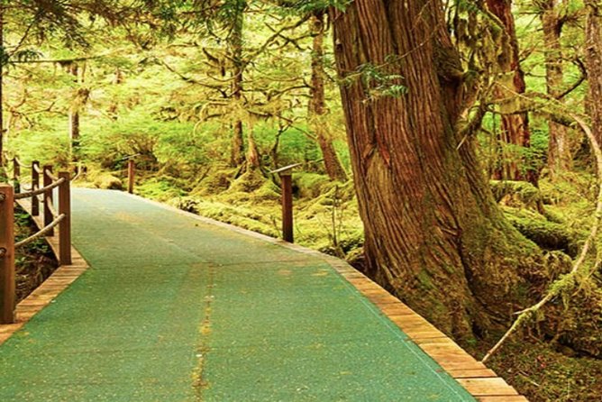 Ketchikan Shore Excursion: Silverking Lodge Adventure & Seafeast - Who Will Love This Tour?