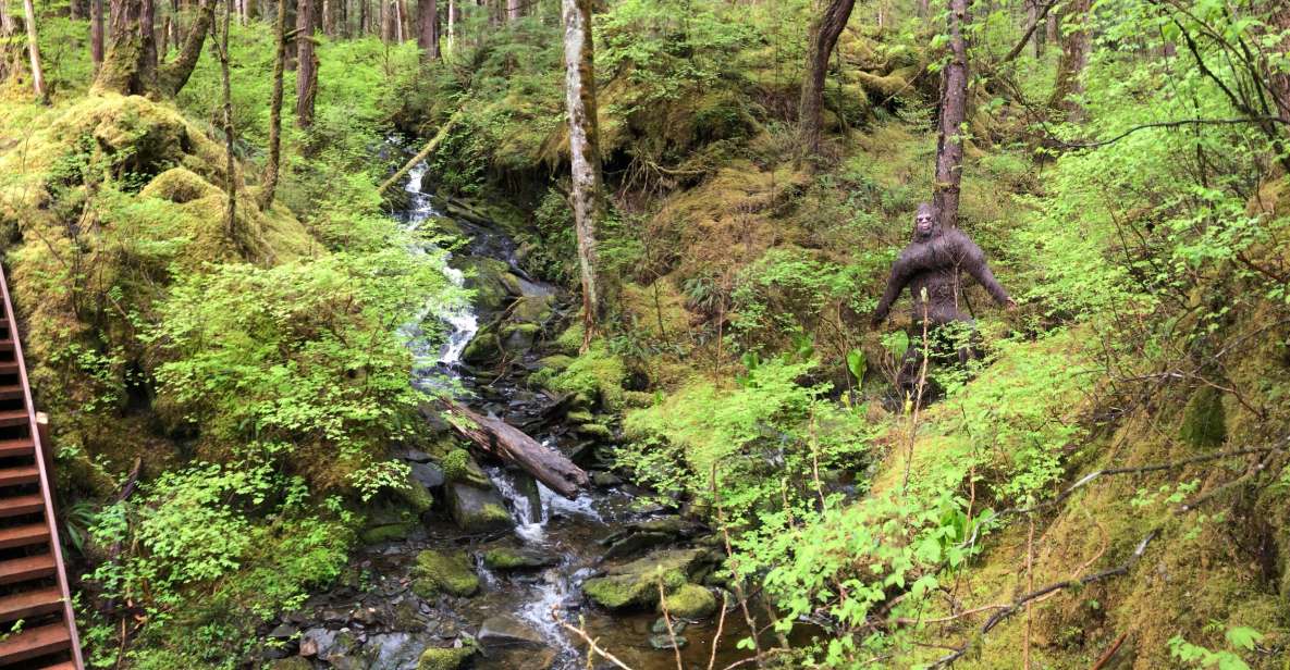 Ketchikan: Tongass Forest Alaska Bigfoot ATV Ride and Hike - A Deep Dive into the Experience