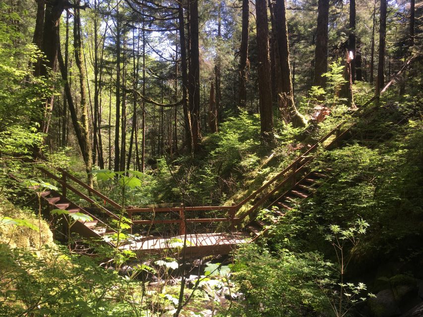 Ketchikan: Tongass Forest Alaska Bigfoot ATV Ride and Hike - Detailed Breakdown of the Itinerary