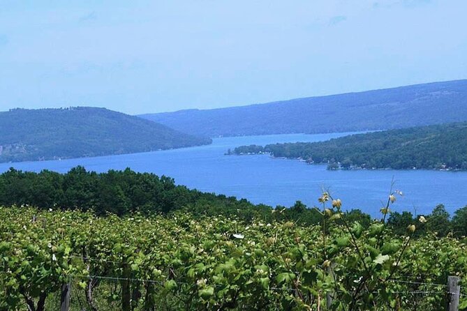 Keuka Lake Winery Tour - Introduction