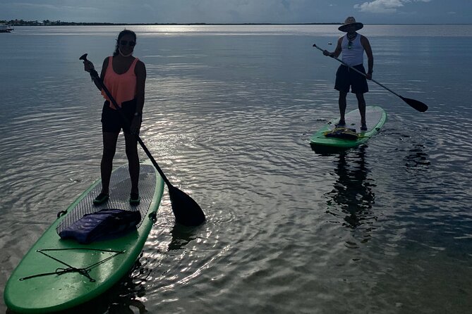 Key Largo 1 Hour Kayak or Paddle Board Rental - Key Points