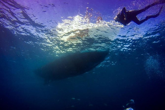 Key Largo 2 Tank Dive trip - Key Points