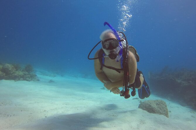 Key Largo 2-tank Scuba Dive Trip within Pennekamp Reserve - Why This Tour Excels for Divers