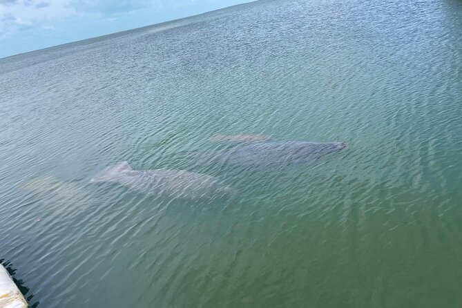 Key Largo Bay Sunset Tour - Introduction: A Sunset Adventure in Key Largo