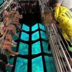 Key Largo Coral Reef Park and Sunset Celebration - Value and Practical Considerations