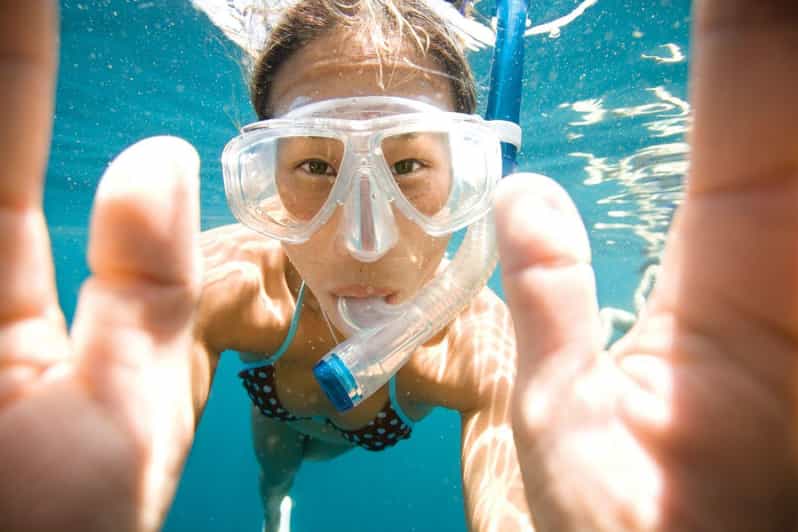 Key Largo: Molasses Reef Snorkeling Trip - Why This Tour Could Be Perfect for You