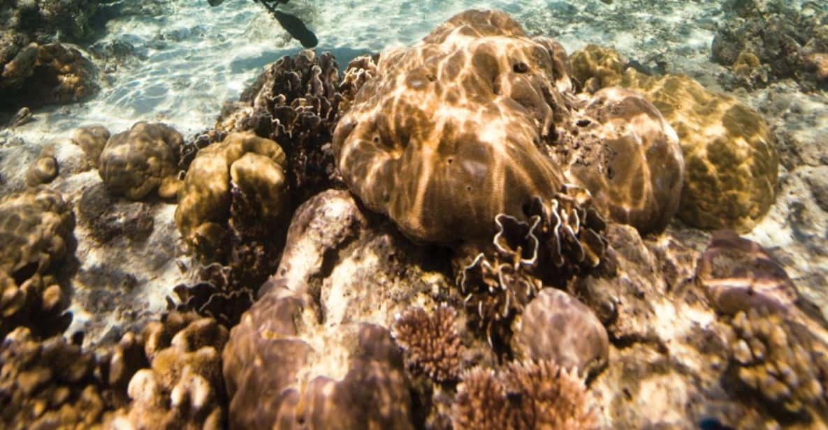 Key Largo: Scuba Refresher Course - The Detailed Breakdown of What to Expect