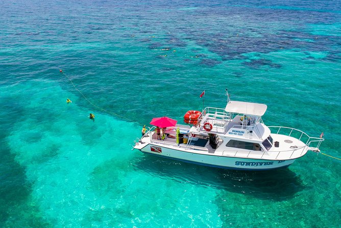 Key Largo Snorkeling Tour - rental mask, fins and vest INCLUDED - The Value and Who It’s For