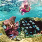 Key Largo Snorkeling Tour - rental mask, fins and vest INCLUDED - Practical Tips for a Great Experience