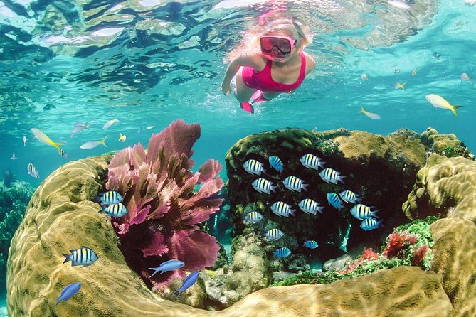 Key Largo Snorkeling Tour - rental mask, fins and vest INCLUDED - Practical Tips for a Great Experience