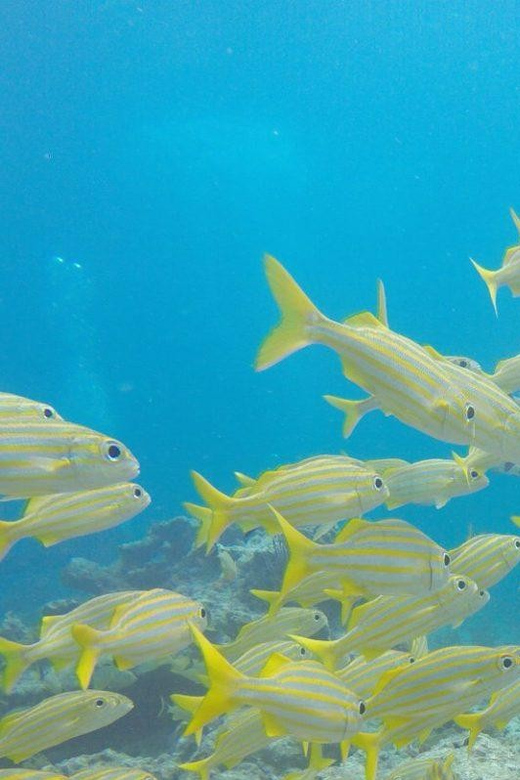 Key Largo: Spiegel Grove Wreck Deep Dive - A Deep Dive into the Experience