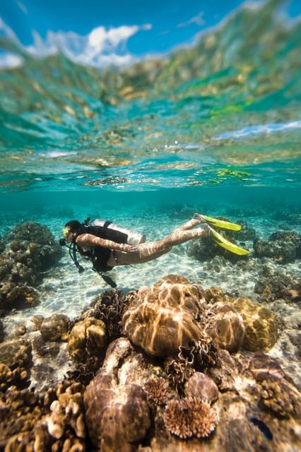 Key Largo: Spiegel Grove Wreck Deep Dive - Who Will Love This Experience?  