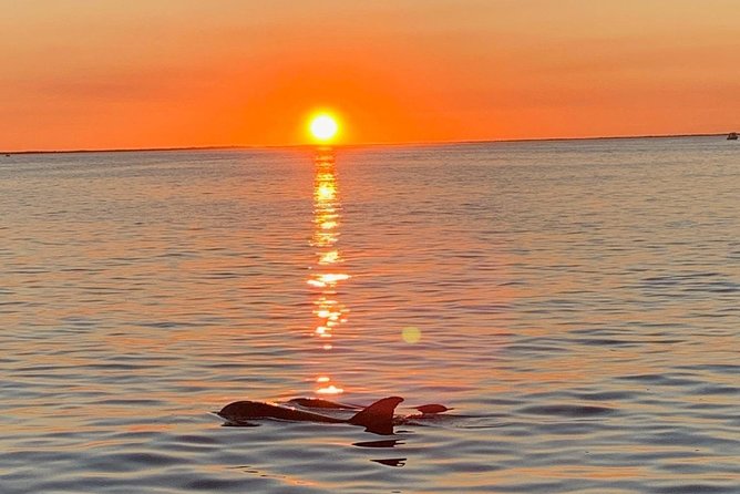 Key Largo Sunset Cruise - Introduction: What makes this sunset cruise special?