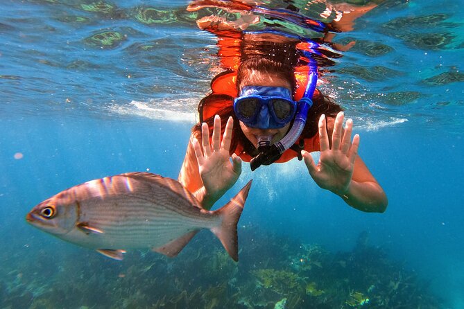 Key Largo Two Reef Snorkel Tour - All Snorkel Equipment Included! - Key Points