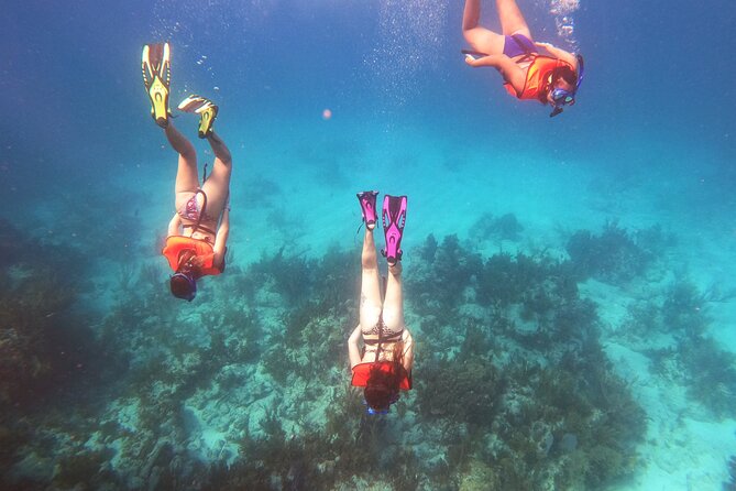 Key Largo Two Reef Snorkel Tour - All Snorkel Equipment Included! - Pricing and Value