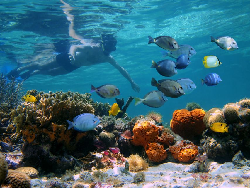 Key West: 2 Reef Snorkel With Sunset Cruise, Includes Drinks - Detailed Breakdown of the Itinerary