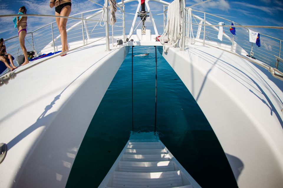 Key West: 2 Reef Snorkel With Sunset Cruise, Includes Drinks - The Sum Up