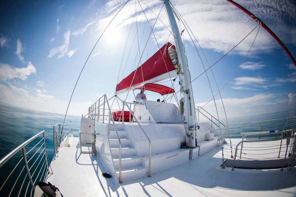 Key West: 3-Hour Afternoon Reef Snorkel with Drinks - An Overview of the Experience