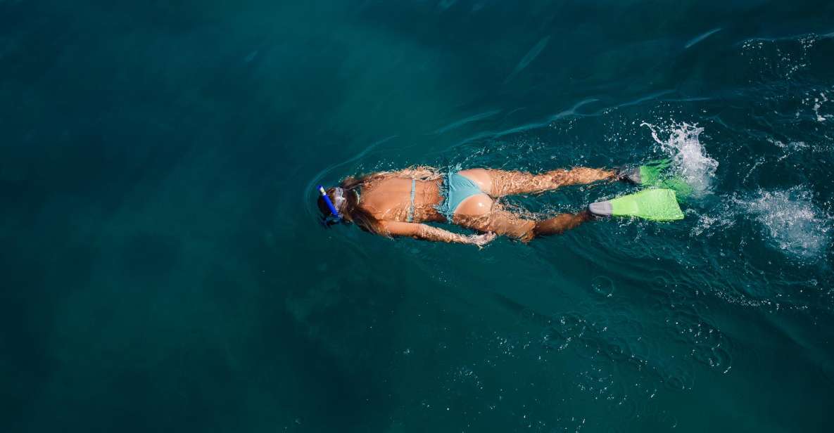 Key West: 3-Hour Afternoon Reef Snorkel with Drinks - Practical Details: What You Need to Know