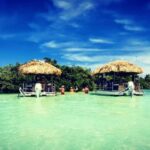 Key West: 4-Hour Private Sandbar Cruise on a Tiki Bar Boat - What Makes This Tour Stand Out?