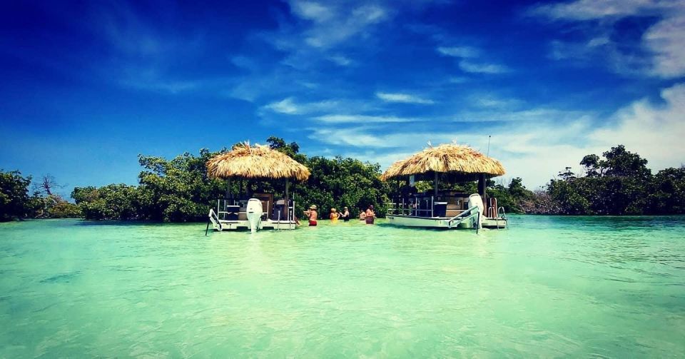Key West: 4-Hour Private Sandbar Cruise on a Tiki Bar Boat - What Makes This Tour Stand Out?