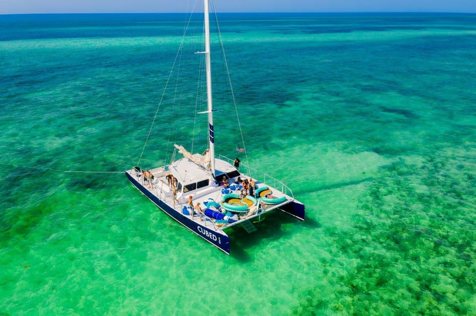 Key West: Afternoon Catamaran Sail and Dolphin Watch - The Experience for Different Types of Travelers