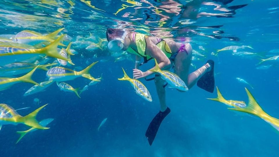 Key West: Afternoon Reef Snorkel Tour with Open Bar - Key Points