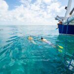 Key West: Afternoon Reef Snorkel Tour with Open Bar - The Value of the Experience