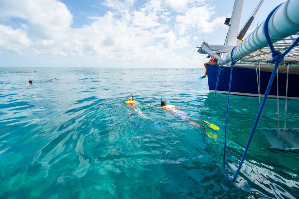 Key West: Afternoon Reef Snorkel Tour with Open Bar - The Value of the Experience