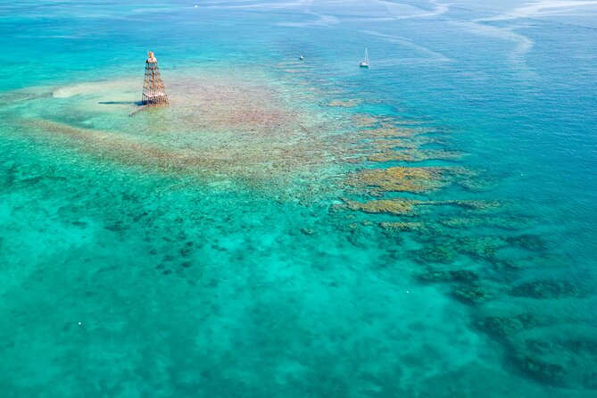 Key West Afternoon Reef Snorkeling with Open Bar - Key West Afternoon Reef Snorkeling with Open Bar Review