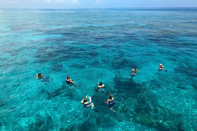 Key West Afternoon Reef Snorkeling with Open Bar - Who Should Consider This Tour?