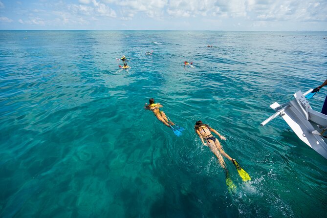 Key West Afternoon Snorkel Sail with Unlimited Cocktails! - An In-Depth Look at the Key West Snorkel Sail Experience
