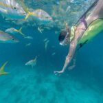 Key West Afternoon Snorkel Sail with Unlimited Cocktails! - Evaluating Value for Money