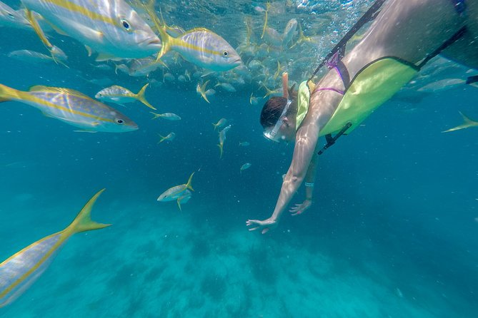 Key West Afternoon Snorkel Sail with Unlimited Cocktails! - Evaluating Value for Money