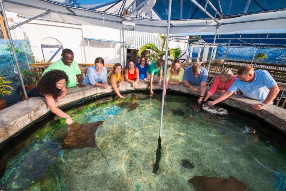 Key West Aquarium Tickets - Final Thoughts