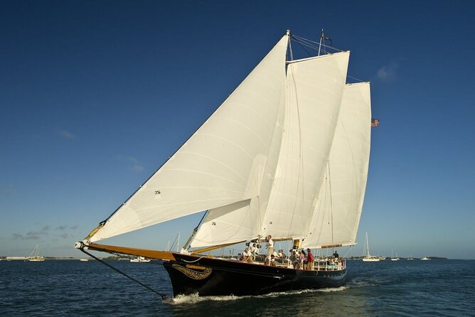 Key West Christmas Cruise with Live Band and Drinks - Practical Details and What to Expect
