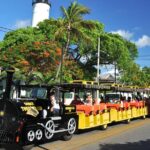 Key West Conch Tour Train - The Value of the Tour: Price, Duration, and Extras