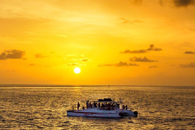 Key West Dolphin and Snorkel Experience - What to Expect from the Key West Dolphin and Snorkel Experience