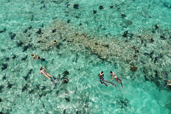 Key West Dolphin and Snorkel Experience - Authentic Experiences and Unique Insights from Reviews