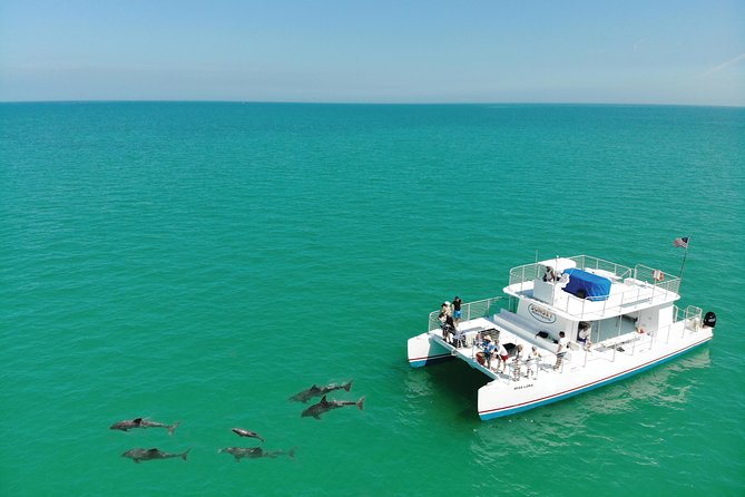 Key West Dolphin and Snorkel Experience - Is This Tour Right for You?