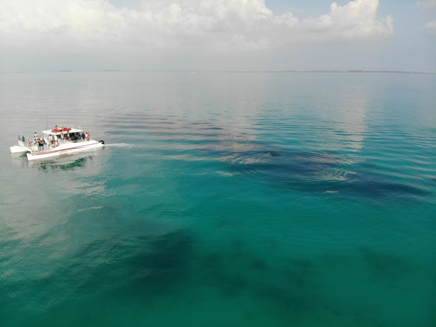 Key West: Dolphin & Reef Snorkel Trip with Sunset Option - What to Expect from the Tour