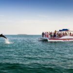 Key West: Dolphin & Reef Snorkel Trip with Sunset Option - The Practical Details and What You Should Know