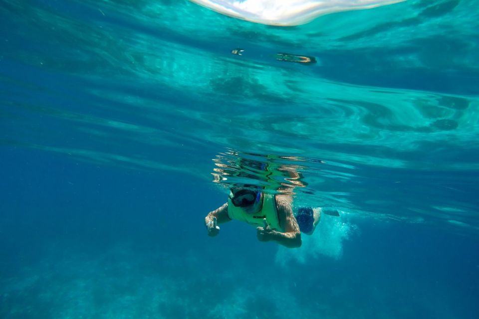 Key West: Dolphin & Reef Snorkel Trip with Sunset Option - Who This Tour Is Perfect For