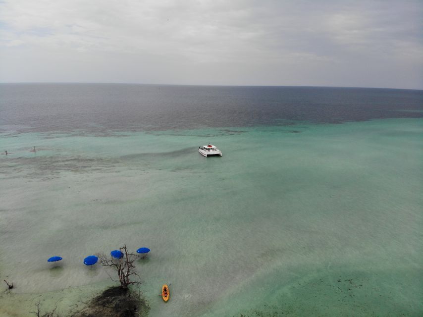 Key West: Dolphin & Reef Snorkel Trip with Sunset Option - Final Thoughts