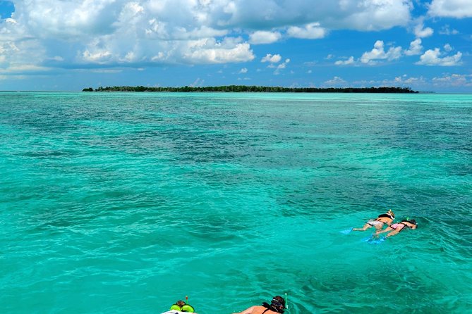 Key West Dolphin Watch and Snorkel Tour - Eco Adventure - The Itinerary: What to Expect