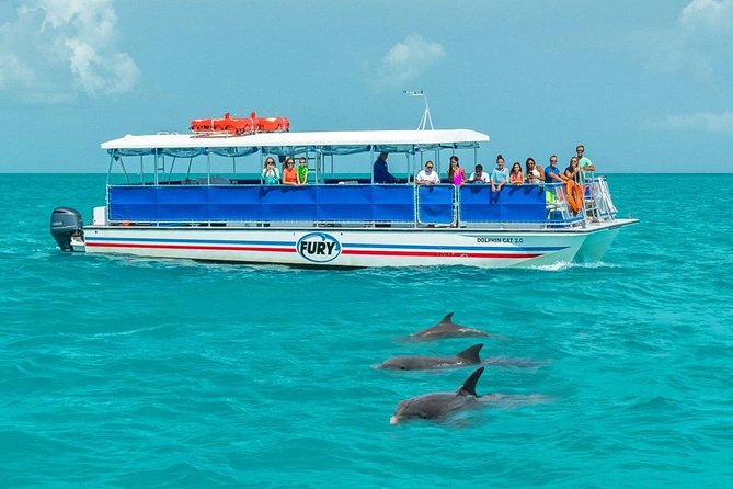 Key West Dolphin Watch and Snorkel Tour - Eco Adventure - Practical Tips for Booking and Enjoying the Tour
